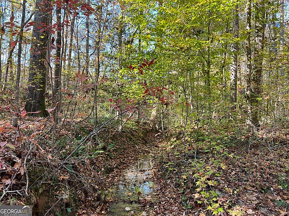 TRACT 2 N Ruckersville Rd, Elberton, GA 30635 | MLS #10375615 | Zillow