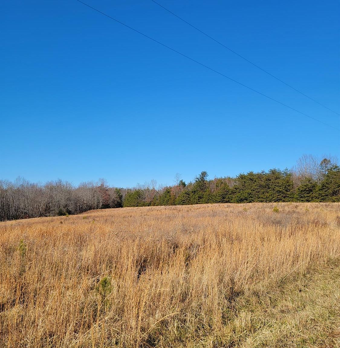 22 Down Creek Rd, Brookneal, VA 24528 | Zillow