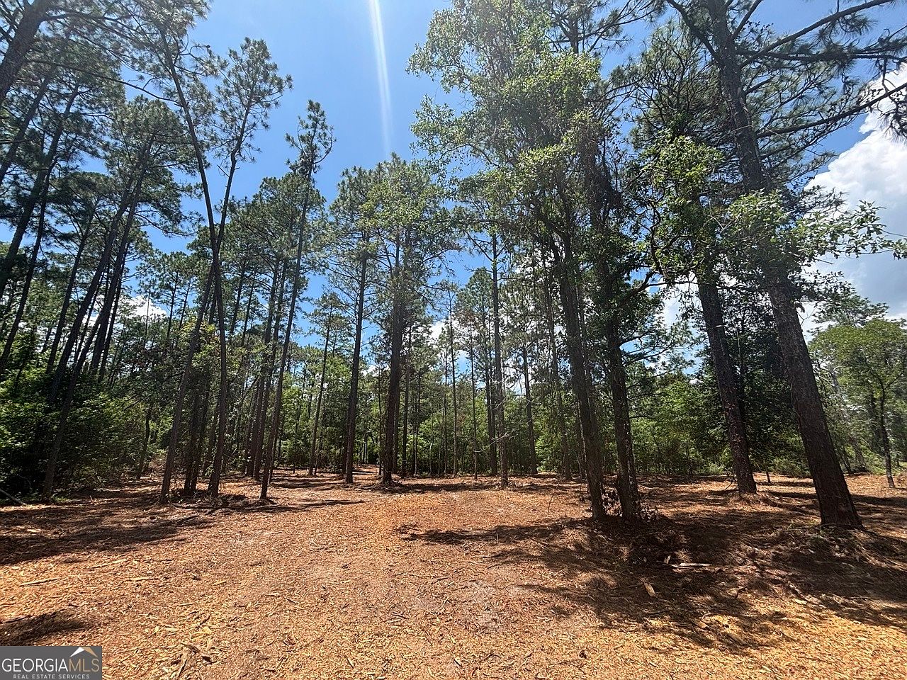 1 Longleaf Estates Rd, Macon, GA 31216 | MLS #10541660 | Zillow