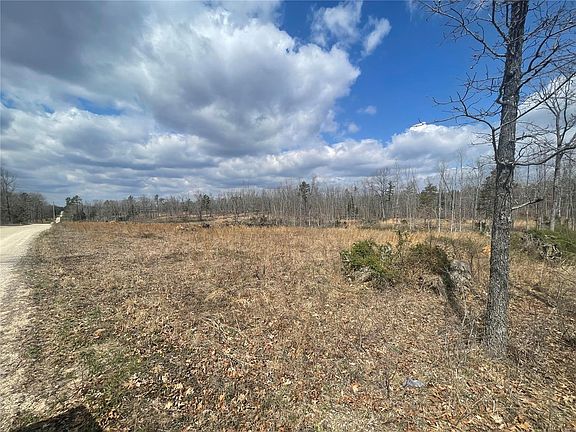 0 State Highway 21 S Co Rd #229, Ellsinore, MO 63937 | Zillow