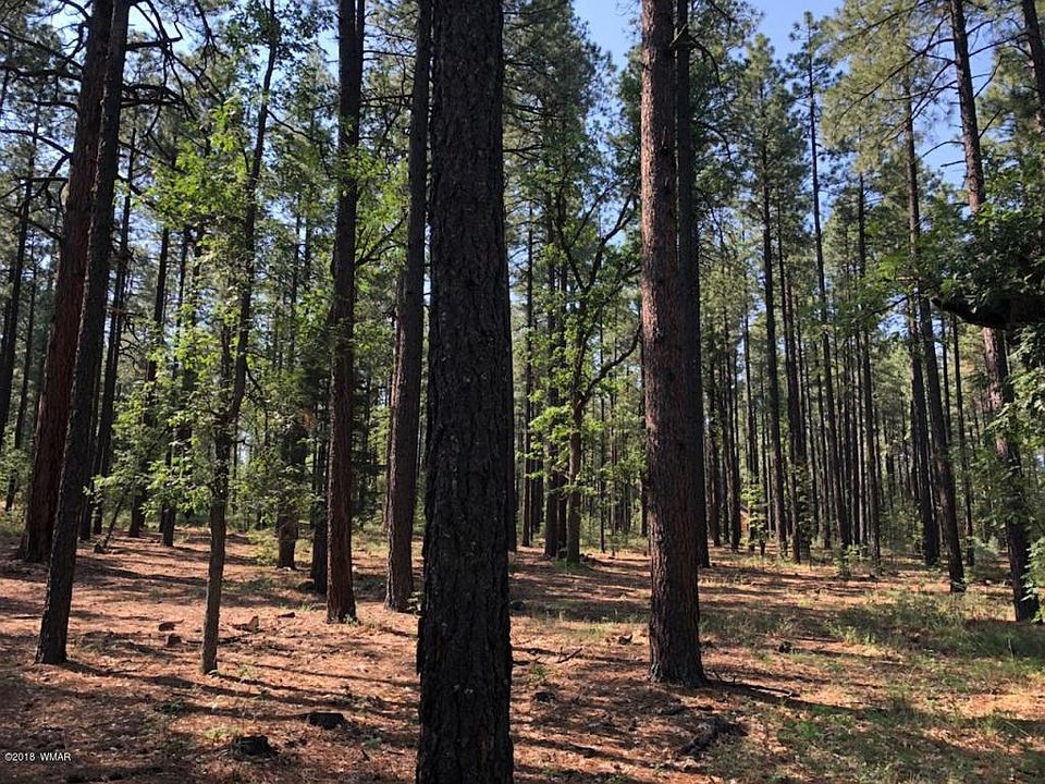 3121 Strawberry Hill Rd, Pinetop, AZ 85935 | Zillow