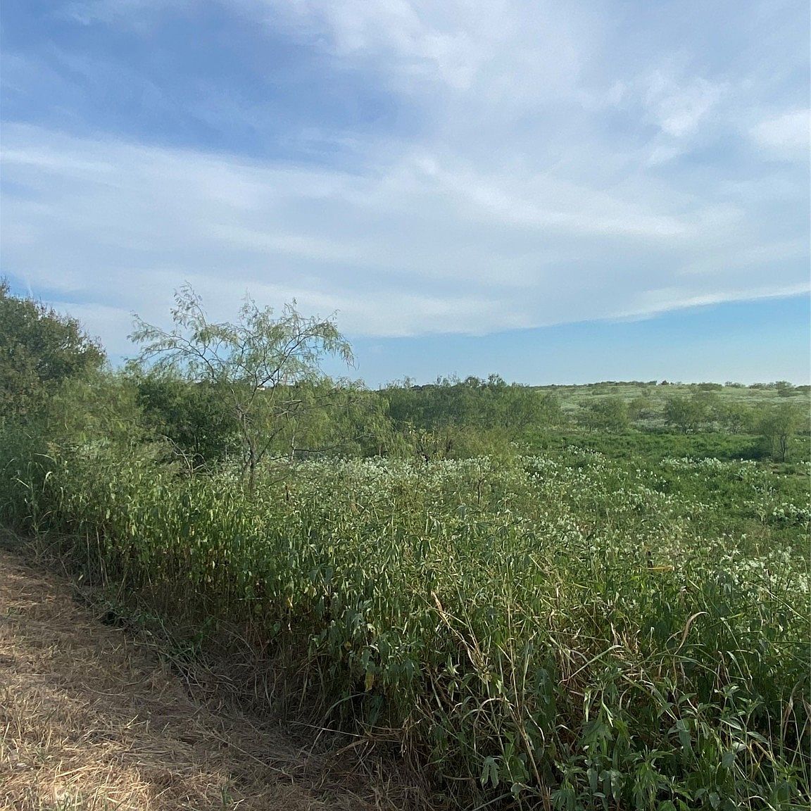 County Road 3254, Mount Calm, TX 76673 | MLS #20763082 | Zillow