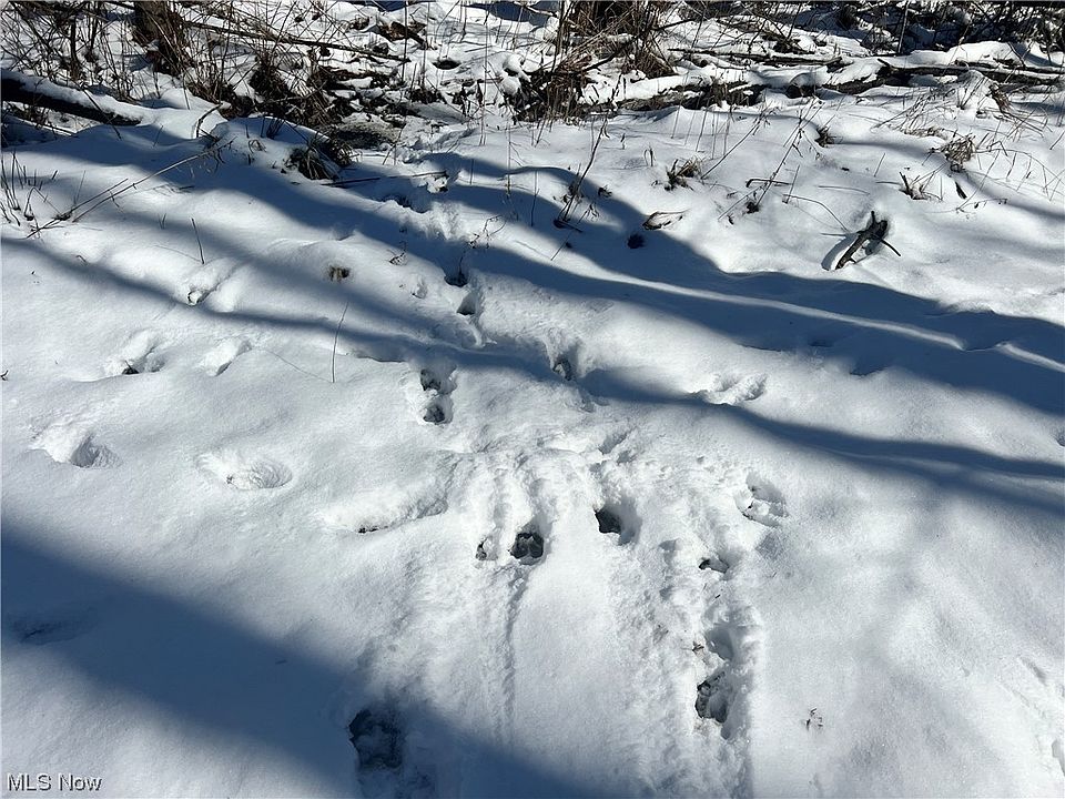 Burns Rd, Madison, OH 44057 | MLS #4446478 | Zillow