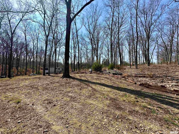 New Burnside IL Real Estate - New Burnside IL Homes For Sale | Zillow