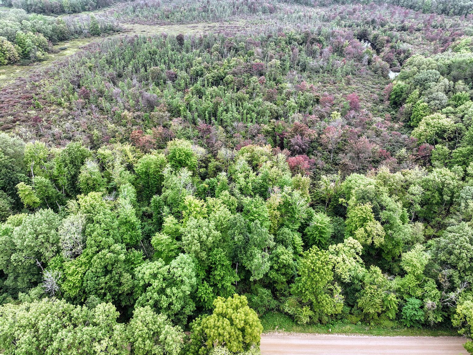 Keyes Rd Lot Wp001, Bellevue, MI 49021 | Zillow
