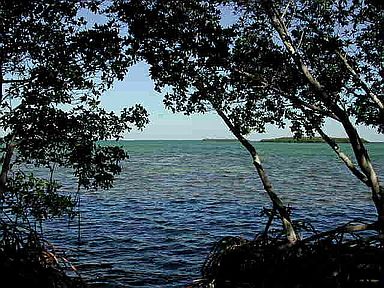 3127 Stewart Rd, Middle Torch Key, FL 33042 | Zillow