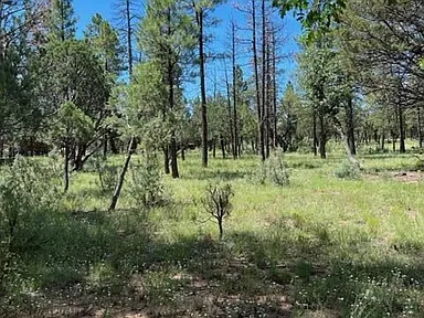 5931 Wolf Den Ct Happy Jack AZ | Zillow