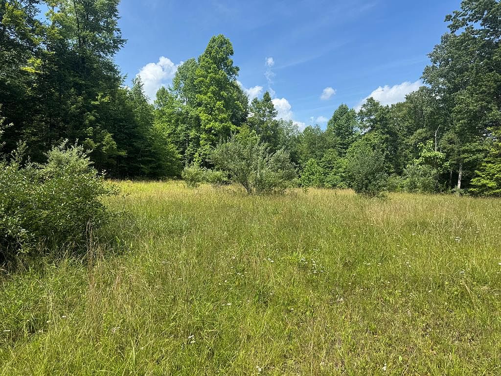 0 Elliott Rd, Hico, WV 25854 | MLS #91081 | Zillow