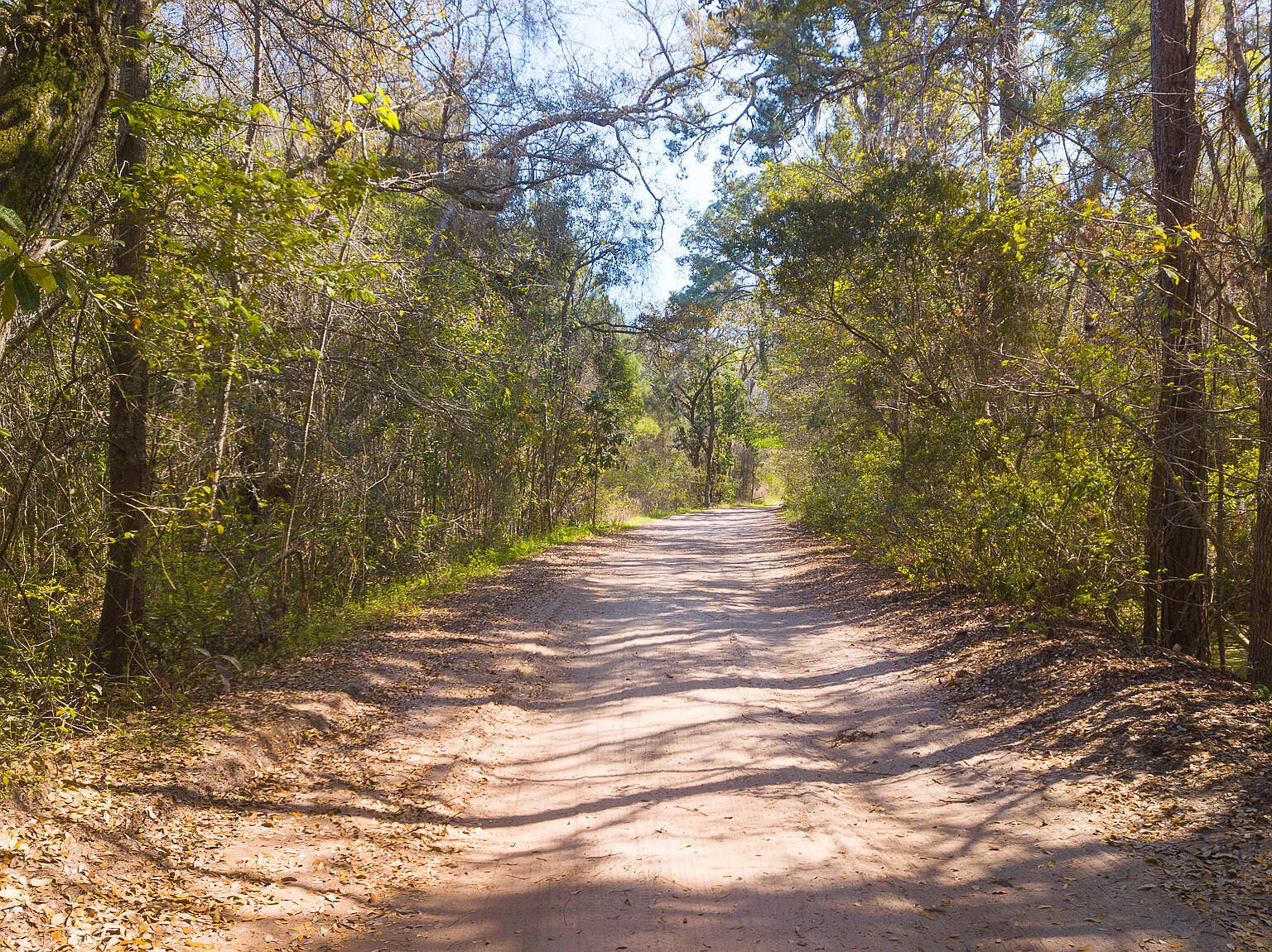 15 & 20 Chaplin Dr, Saint Helena Island, SC 29920 | MLS #184203 | Zillow