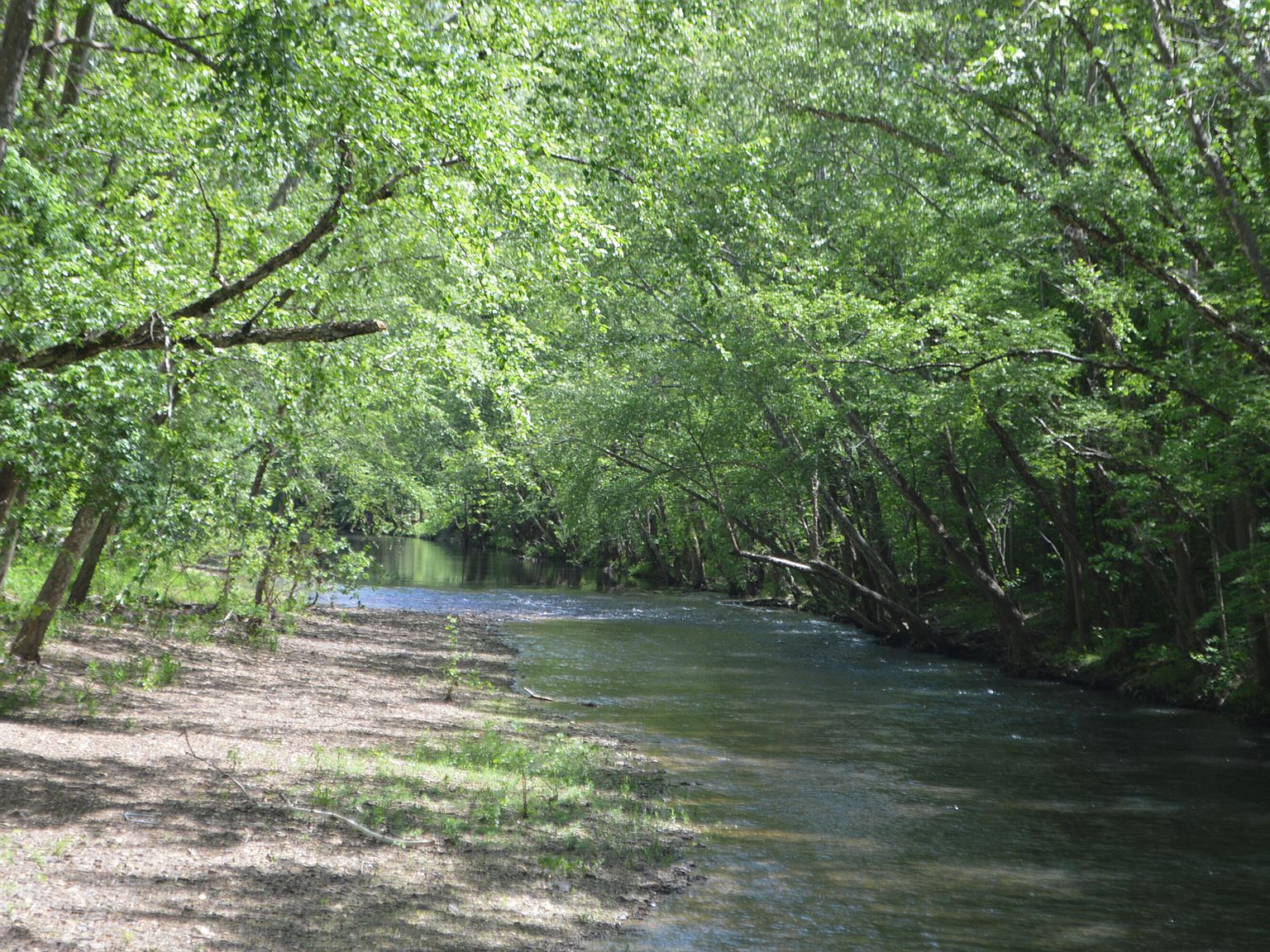 0009A Howard Hannah Rd #0, New Castle, VA 24127 | MLS #917075 | Zillow