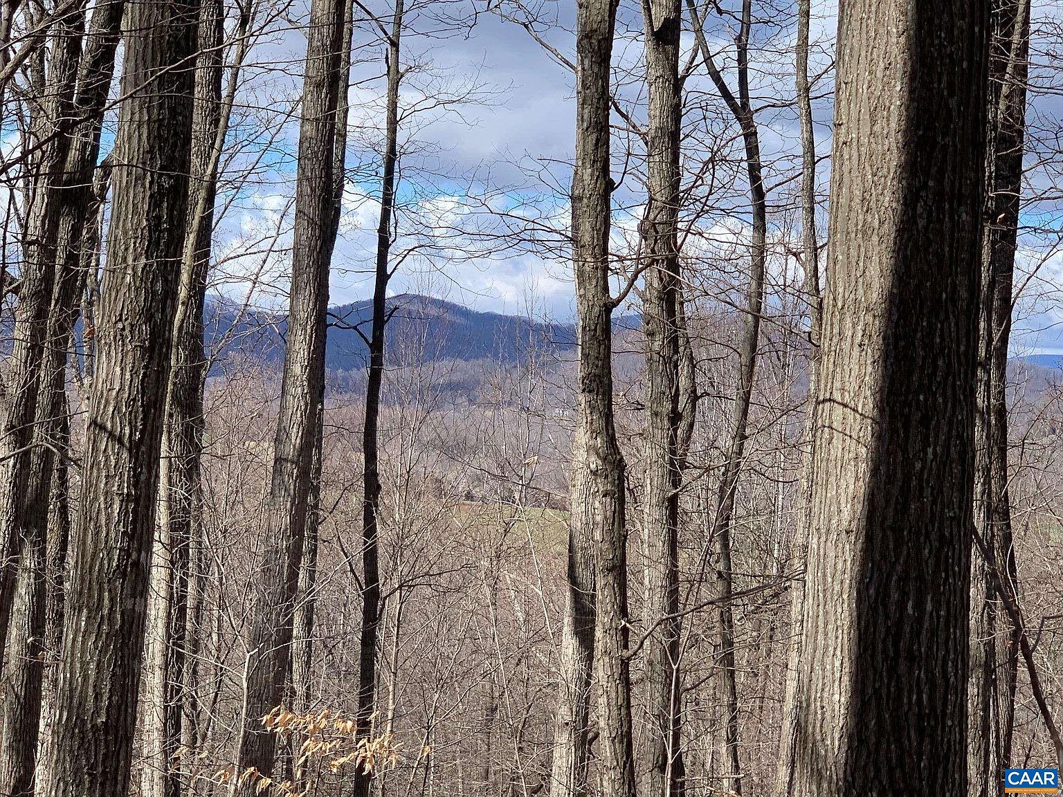 48 Tm 14m Courthouse Mountain Rd, Madison, VA 22727 | Zillow