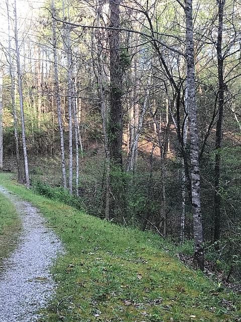 Claude Shields Way, Sevierville, TN 37876 | Zillow