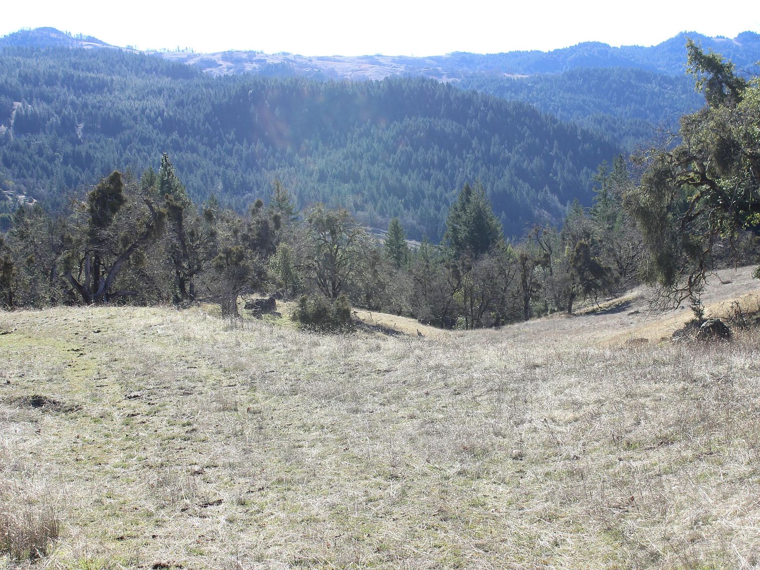 855 Zenia Bluff Rd, Zenia, CA 95595 | MLS #268523 | Zillow