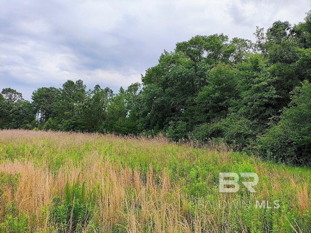 0 County Road 69, Coffeeville, AL 36524 | Zillow