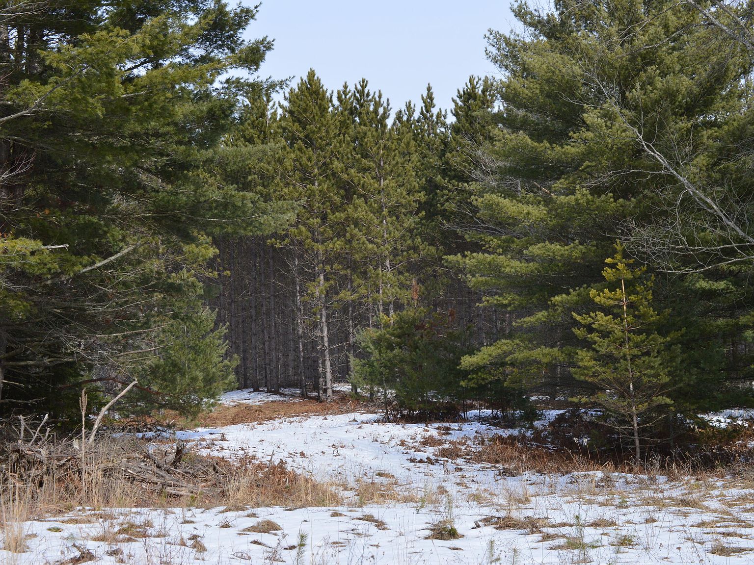 Knepp Rd, Fairview, MI 48621 | Zillow