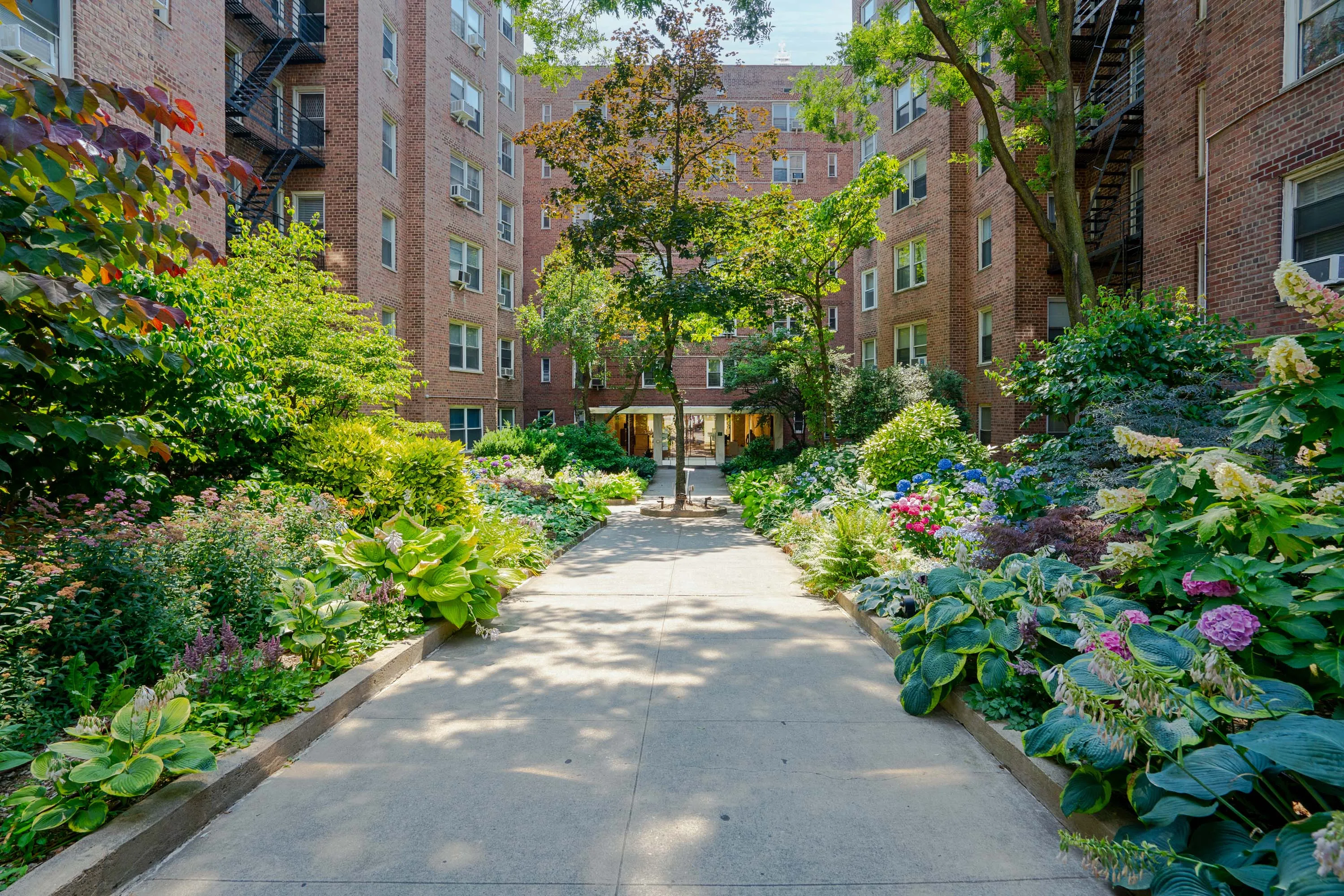 800 Grand Concourse #1OS in Concourse, Bronx | StreetEasy
