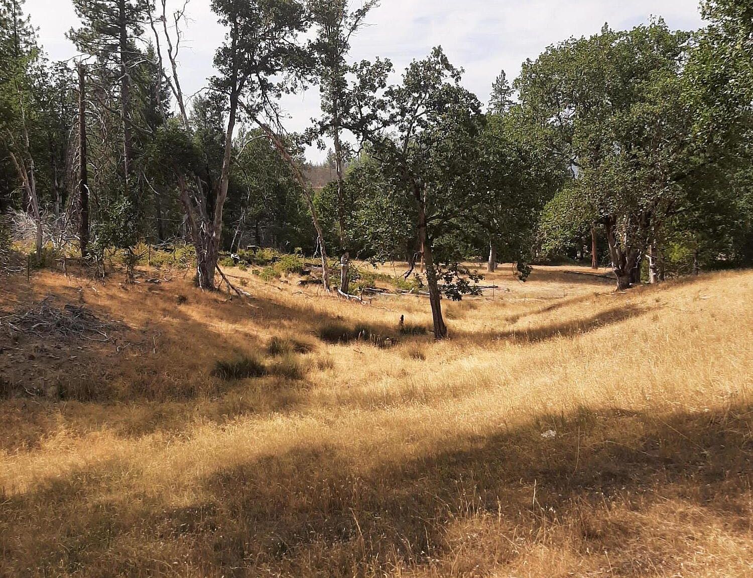141 Tompkins Creek Rd, Ruth, CA 95526 | Zillow