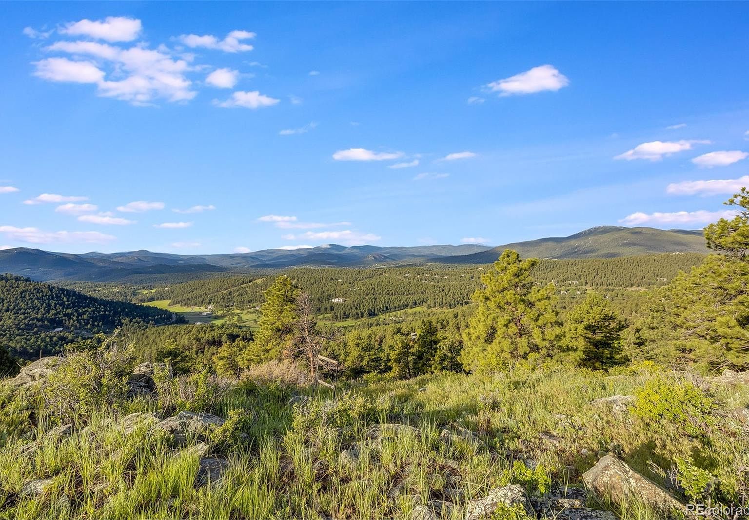 29411 Antilles Way, Evergreen, CO 80439 | MLS #7167966 | Zillow