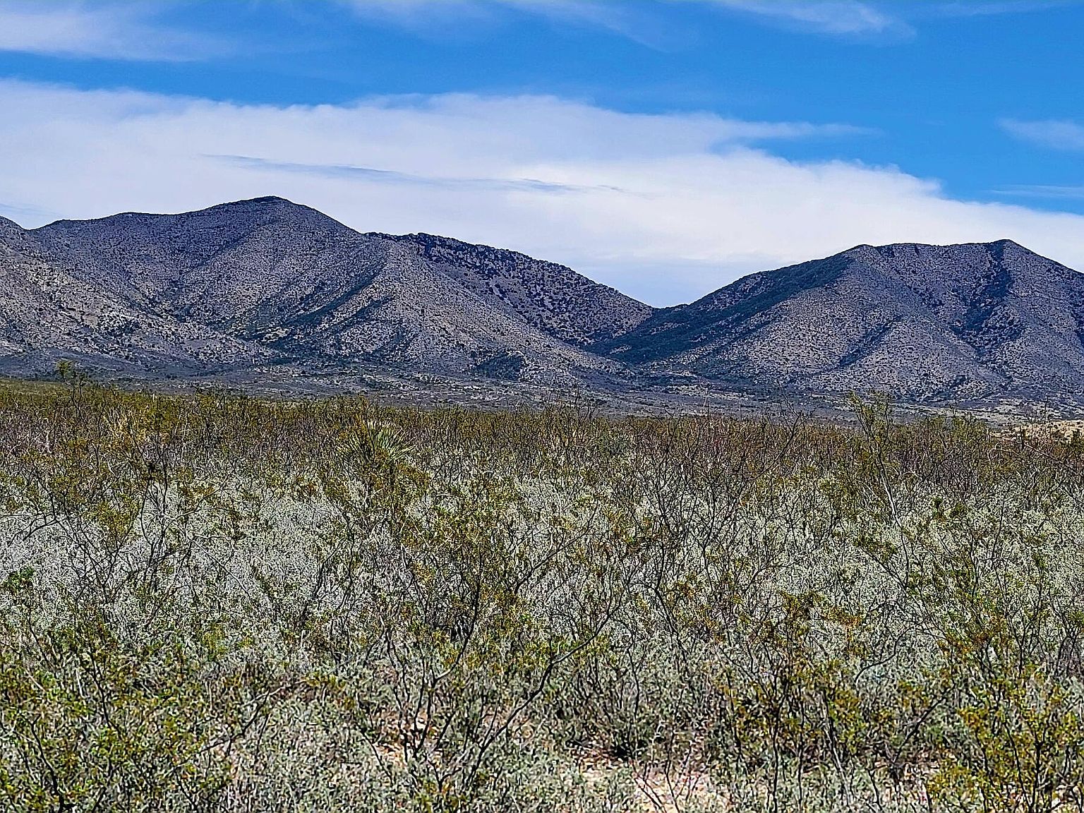 1 Middlemarch Rd, Elfrida, AZ 85610 | Zillow