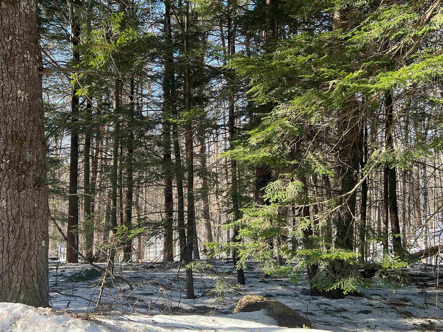 Neal Hill Road #2, Center Tuftonboro, NH 03816 | Zillow