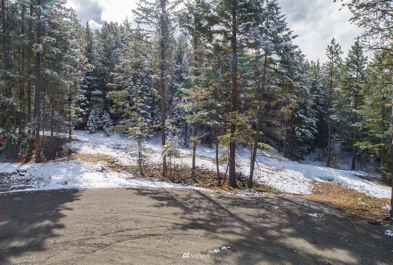 337 Evergreen Valley Loop UNIT lt19A, Ronald, WA 98940 | Zillow