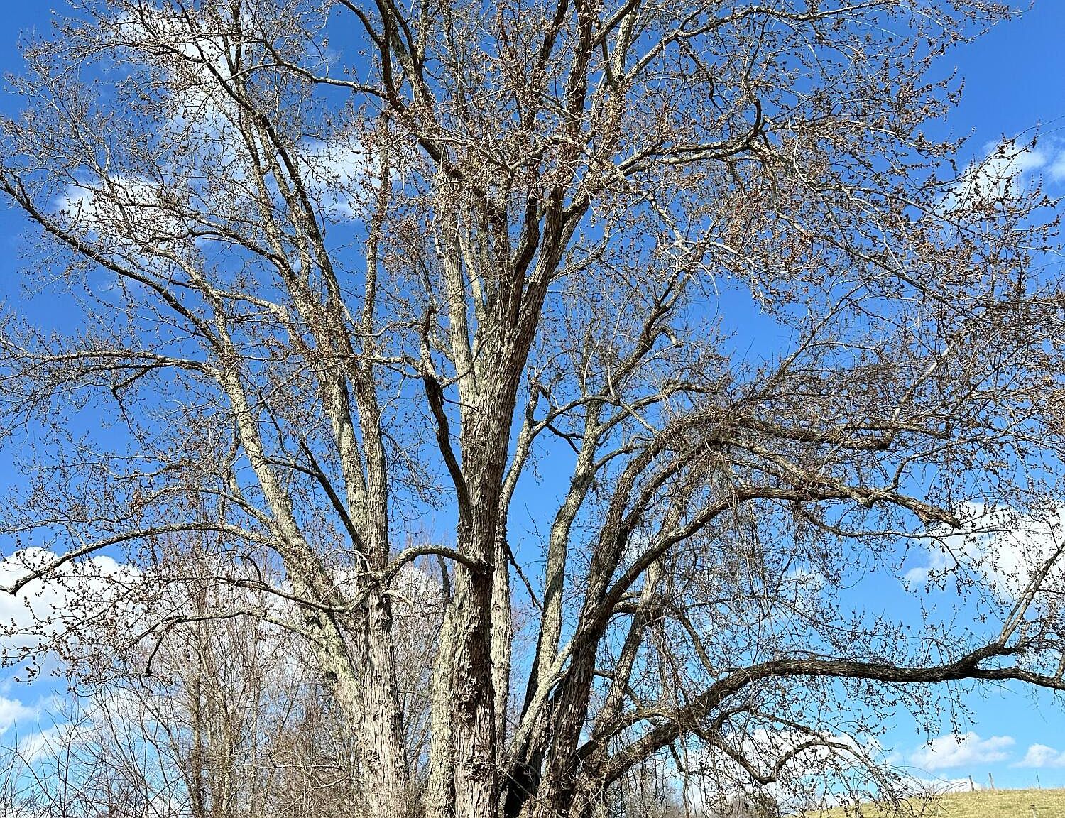 400 State Highway 715, Pine Ridge, KY 41360 | MLS #24004360 | Zillow