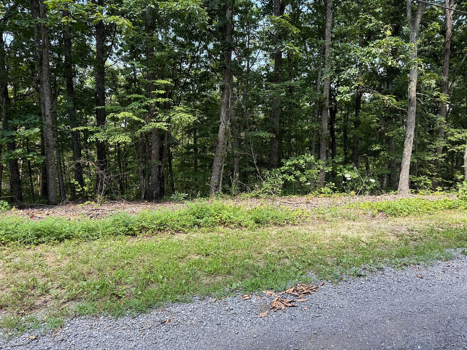 LOT 36 Pecan Tree Ln, Newport, TN 37821 | Zillow