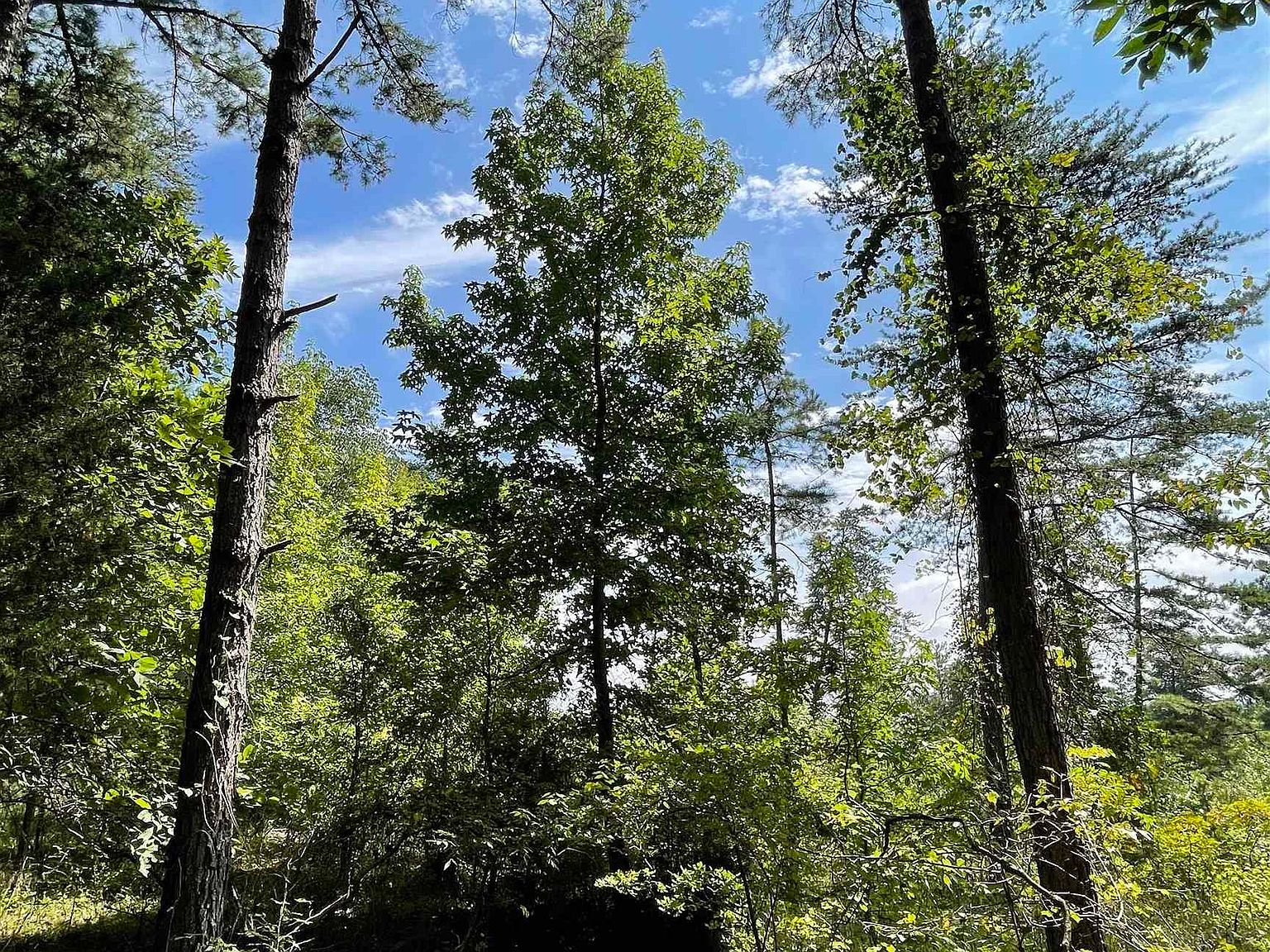 0 Joy Rd #0, Hayden, AL 35079 | MLS #21367732 | Zillow