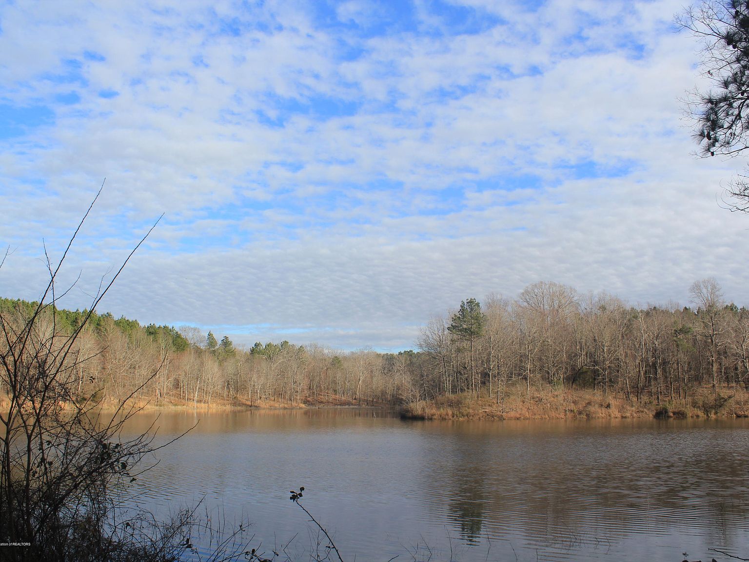 1365 Clanton Rd, Coldwater, MS 38618 | Zillow