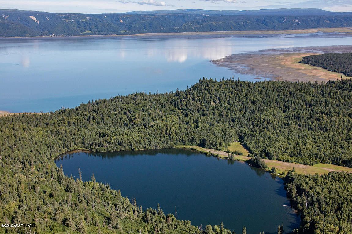 36995 Pomeroy Rd, Homer, AK 99603 | Zillow