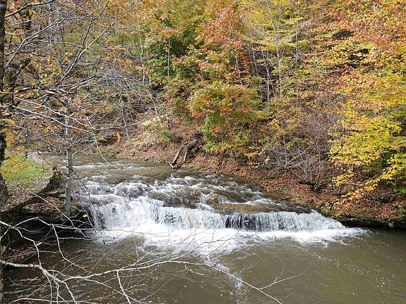 2039 Erbacon Rd, Cowen, WV 26206 | MLS #10151600 | Zillow