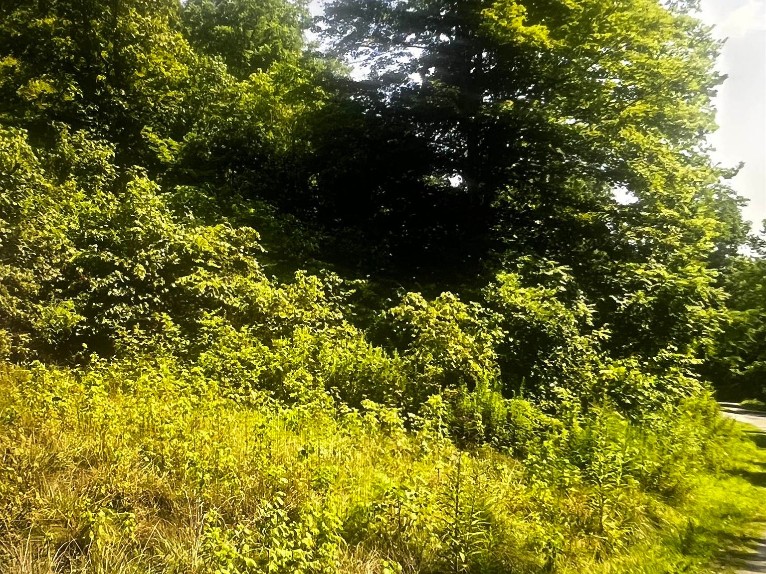7724 County Road 5, Pedro, OH 45659 | Zillow