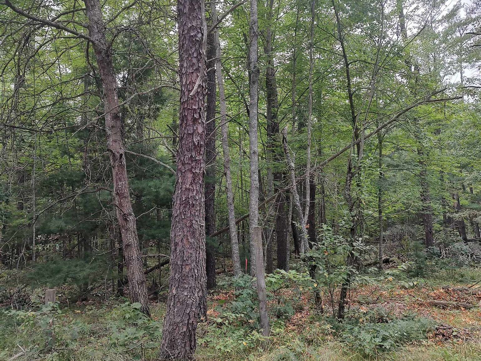 0 Deckers Rd, Roscommon, MI 48653 | Zillow