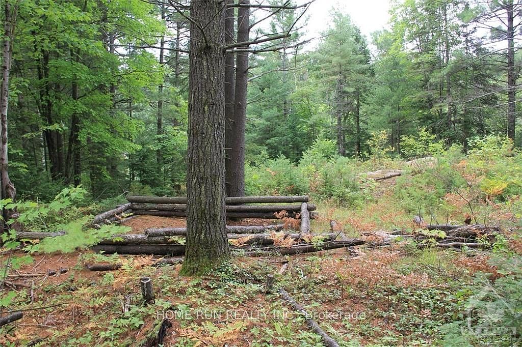 1068A Jacques Bay Rd, Addington Highlands, ON K0H 1K0 | MLS #X9517493 ...