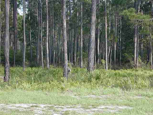 45 Snails Pace Ln, Panacea, FL 32346 | Zillow