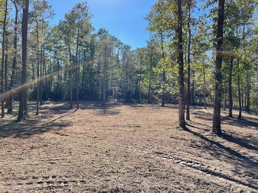 LOT 1 Fm 352, Corrigan, TX 75939 | MLS #20463531 | Zillow