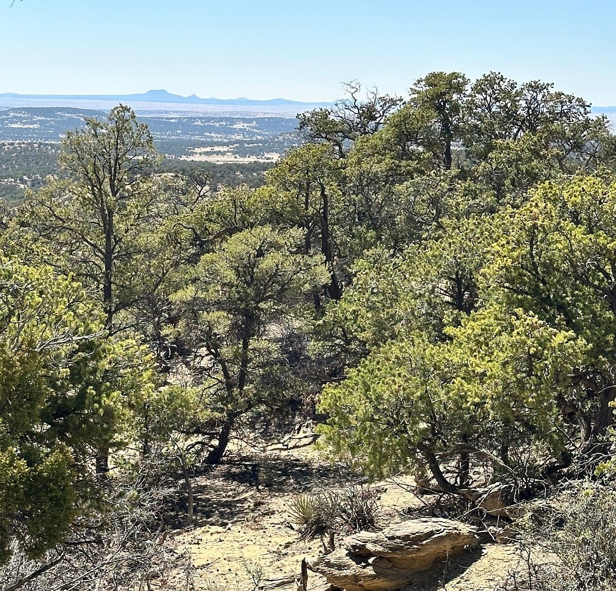 27 N Ranchero Rd #45, Pie Town, NM 87827 | MLS #11513122 | Zillow