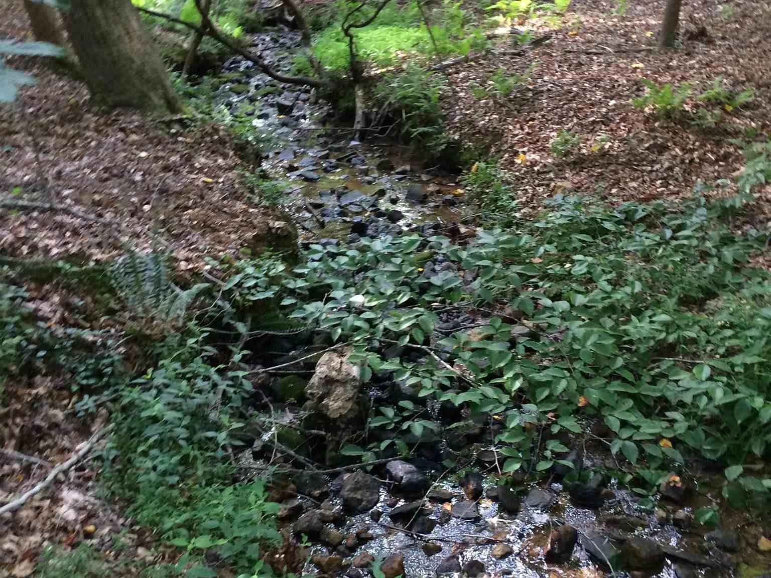 345 Homer Stephens Rd, Cornelia, GA 30531 | Zillow