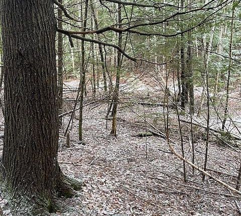 Map6Lot15 Spring Bridge Road, Greenbush, ME 04418 | MLS #1612649 | Zillow