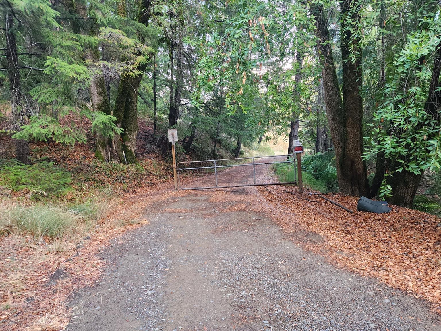 10154 Upper Mattole Canyon Rd, Garberville, CA 95542 | MLS #268013 | Zillow