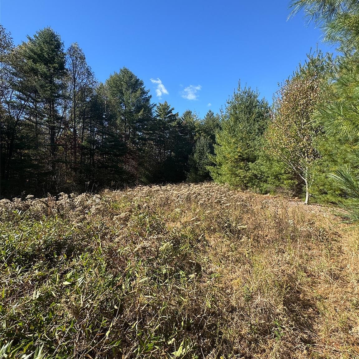 999 Stones Lake Rd, Cedar Mountain, NC 28718 | Zillow