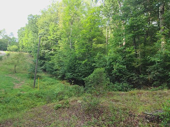 3 Truman Hill Rd TRACT 3, Hardy, VA 24101 | MLS #908579 | Zillow