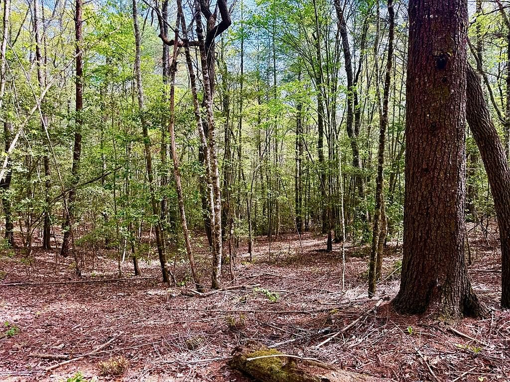 59 Rainy Farm Rd, Murphy, NC 28906 | MLS #415392 | Zillow