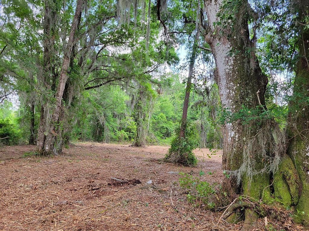 0E0 SE 150th St, Starke, FL 32091 | MLS #790652 | Zillow