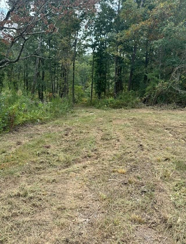 0 County Road 8, Waterloo, AL 35677 | MLS #518452 | Zillow