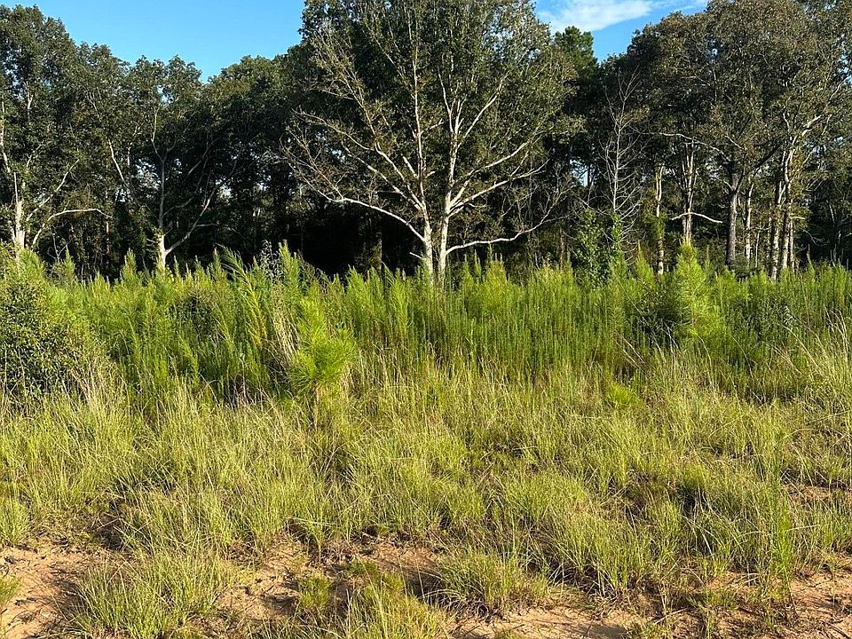 314 Alex Daley Rd, Carson, MS 39427 | Zillow