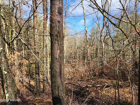 Spring House Rd LOT 55, Muncy Valley, PA 17758 | MLS #WB-96281 | Zillow