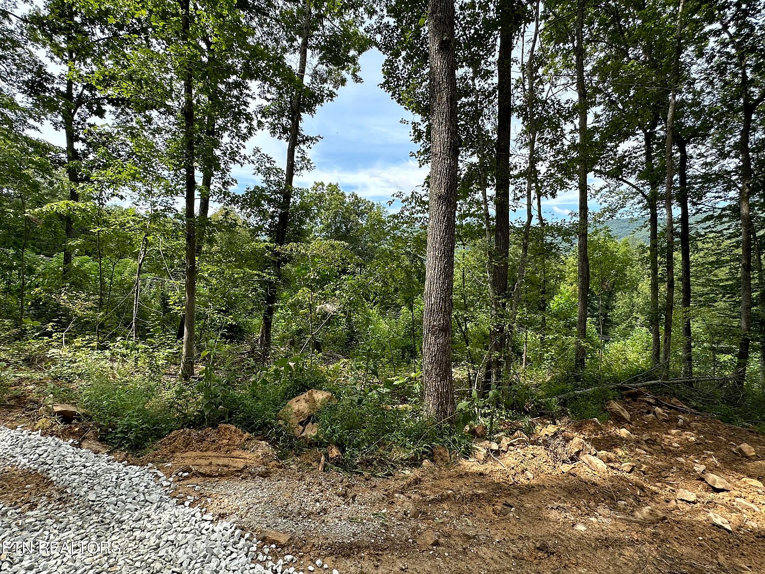 4724 Highway 297, Newcomb, TN 37819 | Zillow