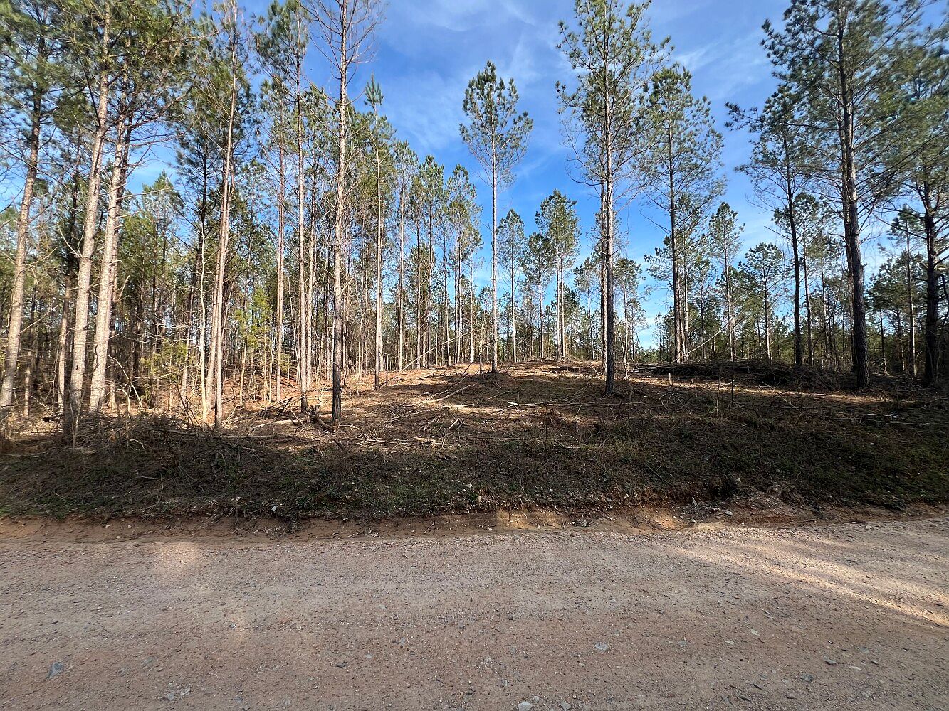 0 County Road 253, Clanton, AL 35046 | Zillow