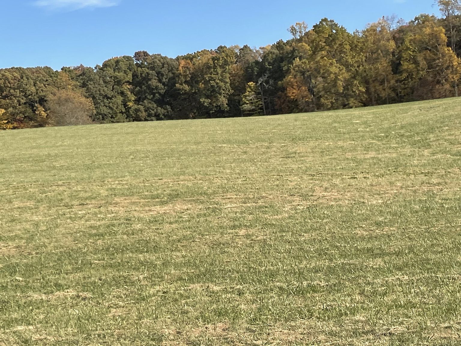 Milburnton Rd LOT 2, Limestone, TN 37681 | Zillow